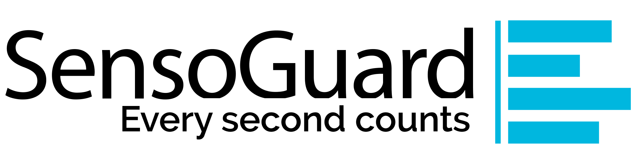 SensoGuard - Innovative Seismic Underground Sensors Solution