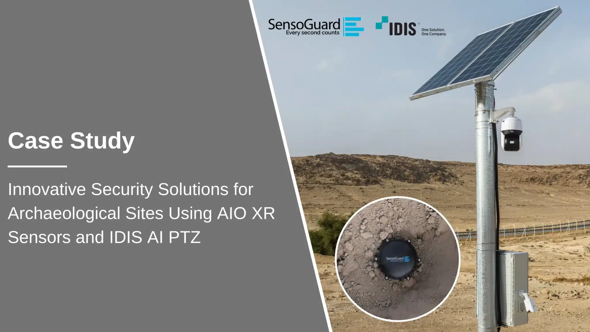 Protecting Our Heritage: Security Solutions for Archaeological Sites